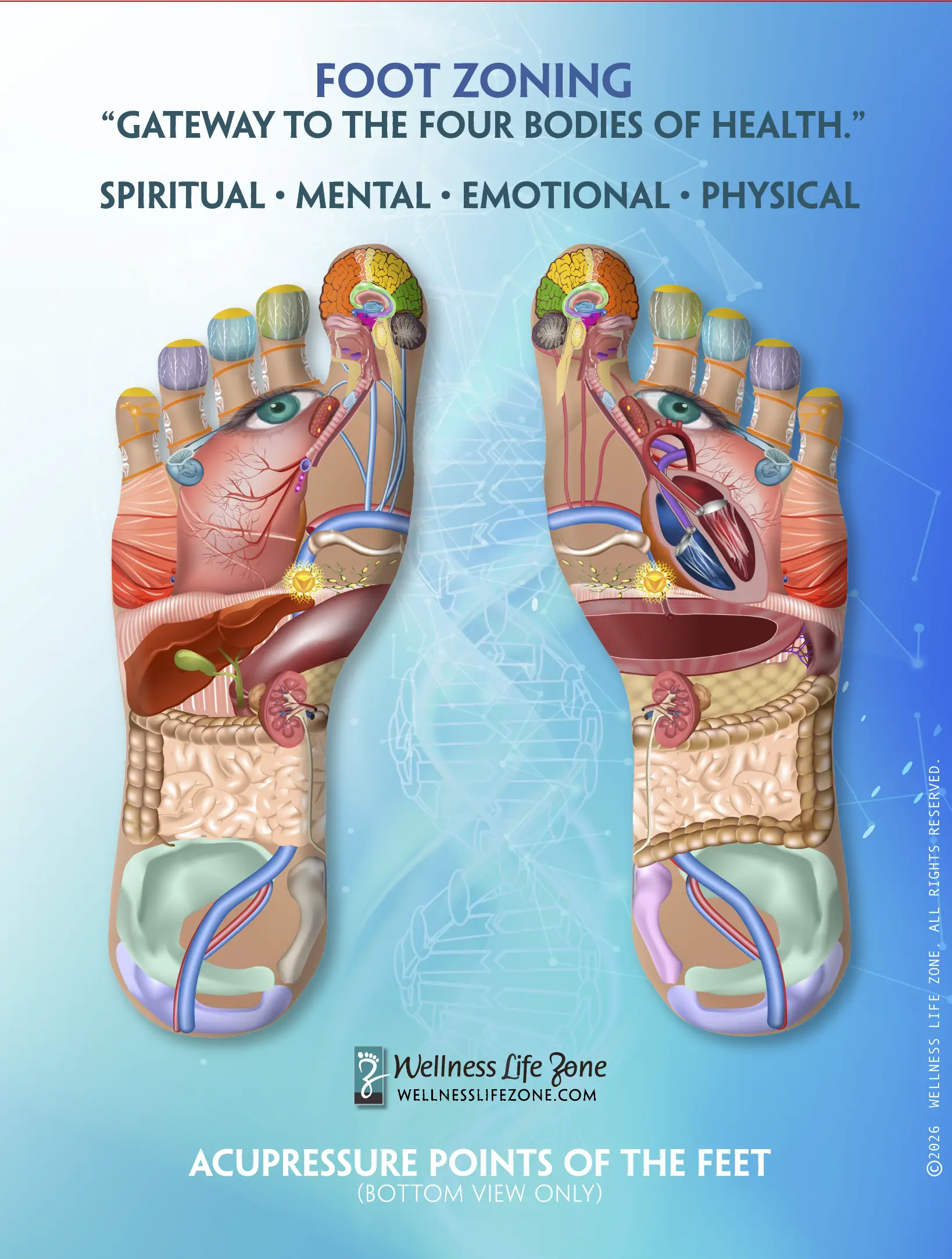 Foot Zone Technique Guide For- Spiritual, Mental, Physical